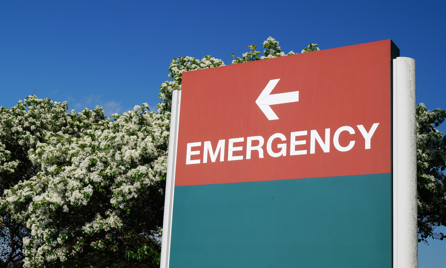 Is That ER Visit Necessary? - Alaska Electrical Trust Funds